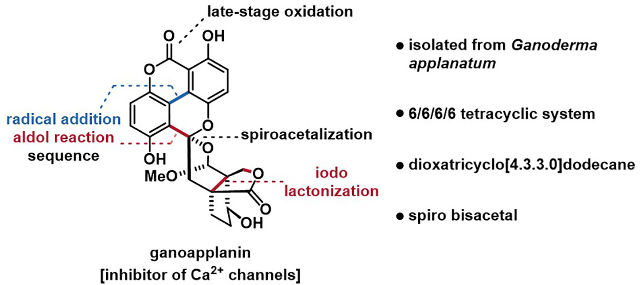 Publications – Kovac lab