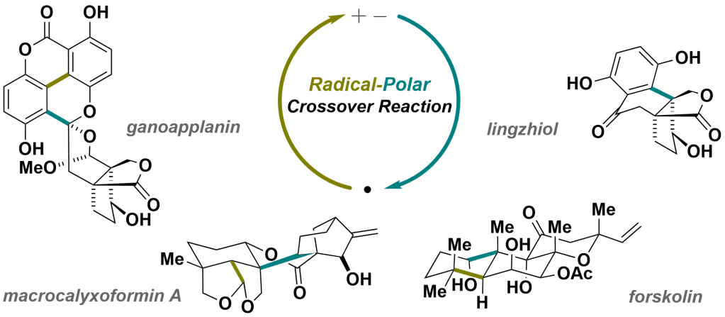 Publications – Kovac lab